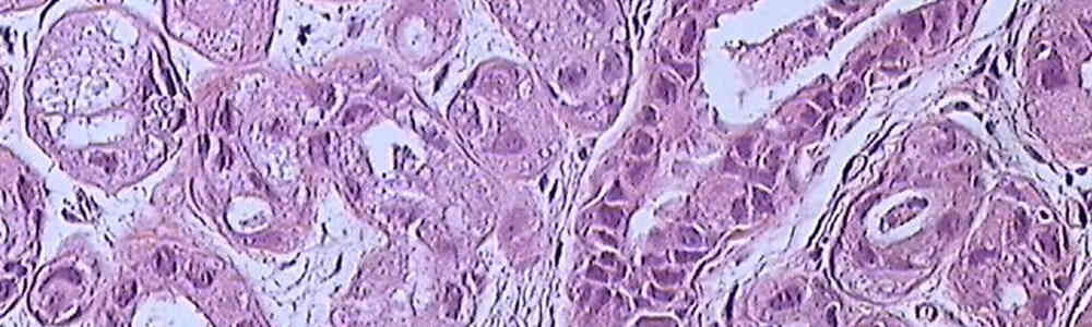 Medizin: Nachrichten und Wissen