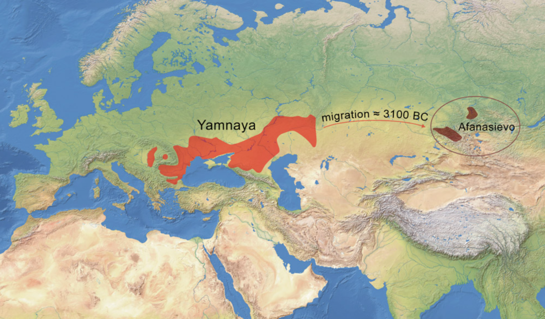 Früheste Belege für das Reiten entdeckt