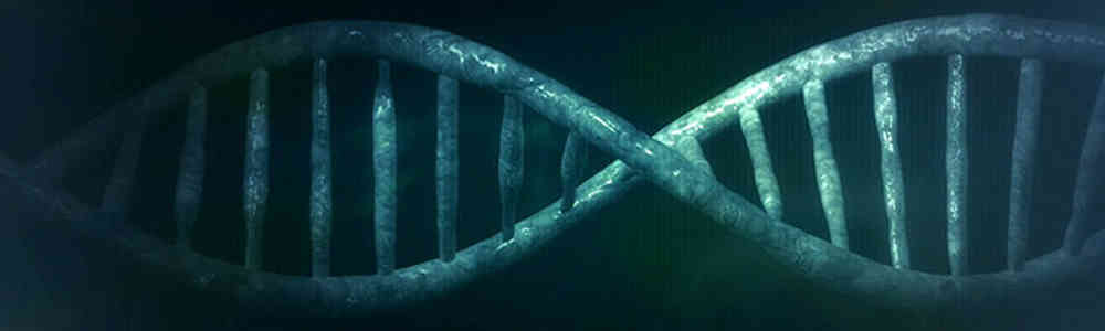 Biologie: Nachrichten und Wissen