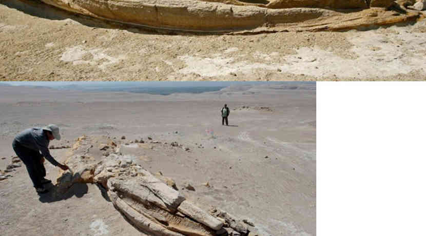 Sternenkatalog des Hipparchos entdeck