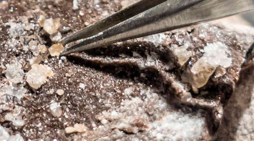 Meteoriteneinschlag brachte Leben in tiefe Erdschichte