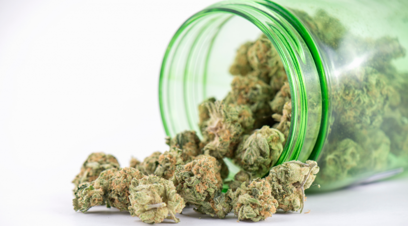 Medizin: Nachrichten und Wissen