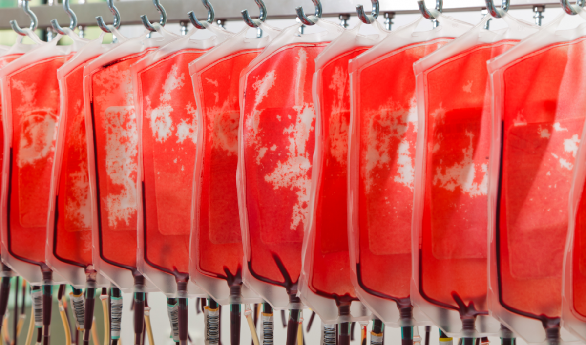 „Instantblut“ aus Pulver soll Menschen retten