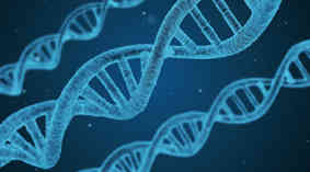 Gen löst Multiple Sklerose aus