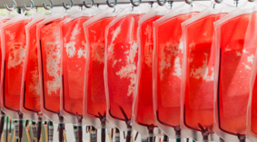 „Instantblut“ aus Pulver soll Menschen retten