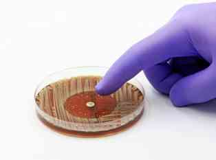 Neues Antibiotikum hochwirksam gegen Krankenhauskeime