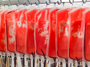 „Instantblut“ aus Pulver soll Menschen retten