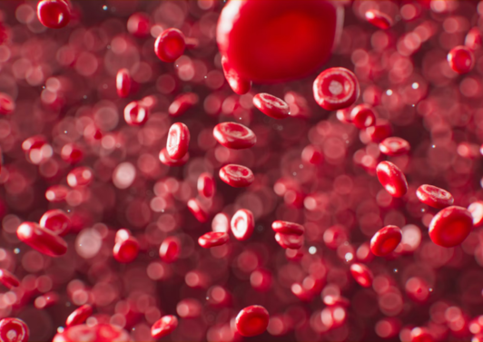 Medizin: Nachrichten und Wissen