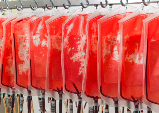 „Instantblut“ aus Pulver soll Menschen retten