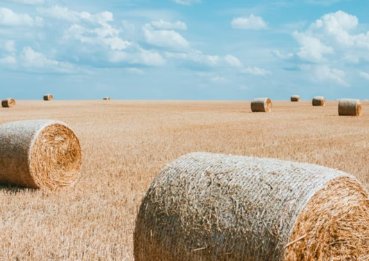 Klimawandel könnte Deutschland bis 2050 900 Milliarden Euro kosten