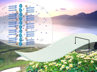 Nanomaterial gewinnt Strom aus der Luftfeuchtigkeit