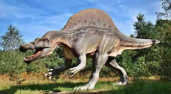 Sternenkatalog des Hipparchos entdeck