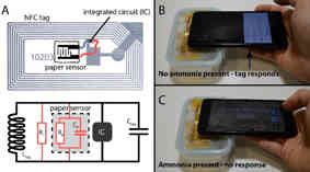 Smartphone-Sensordaten zeigen den Zustand von Brücken
