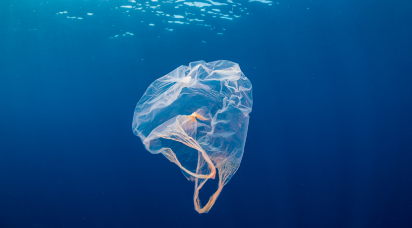 Auf dem Meeresgrund liegen bis zu elf Millionen Tonnen Plastikmüll Auf dem Meeresgrund liegen bis zu elf Millionen Tonnen Plastikmüll